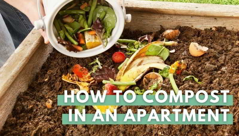 Apartment Composting Without Worms (Or Yard)