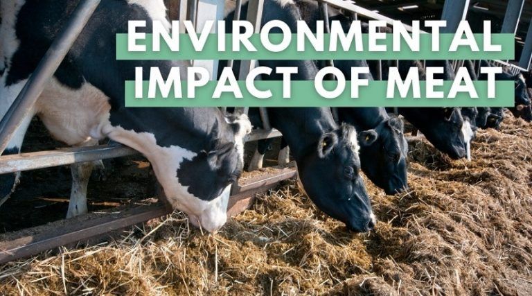 Self-Sufficient Living - Eco Peanut