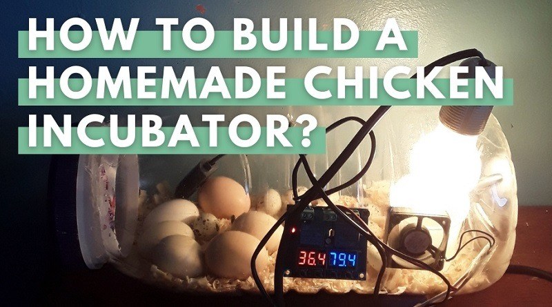 Create a Homemade Incubator in 6 simple steps - Eco Peanut