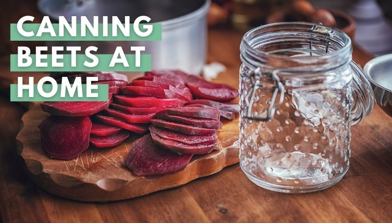 How to Can Beets Without a Pressure Cooker (The Water Bath Method)