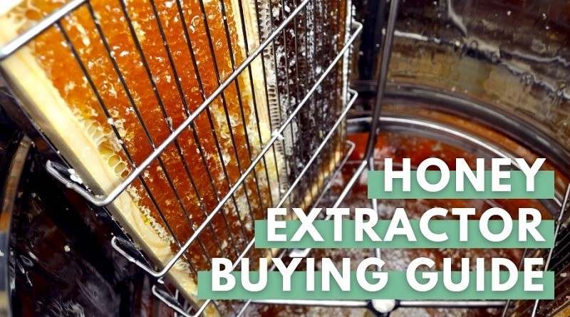 12 Best Honey Extractor Reviews (2022)