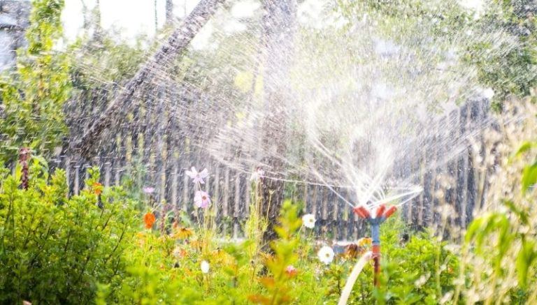 18 Ways On How To Keep Chickens Out Of The Garden