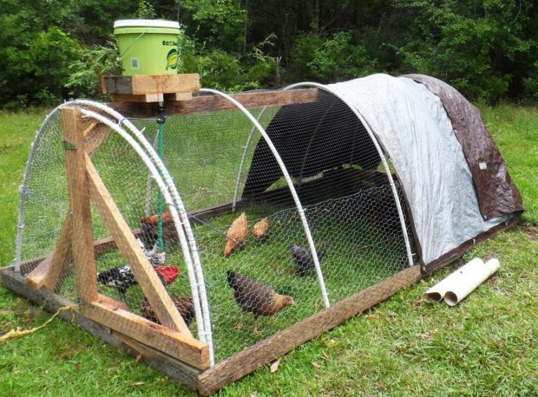 35 Chicken Tractor Plans: The Ultimate List