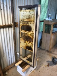 29 Bee Hive Stand Plans: The Ultimate List