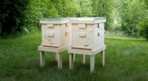 29 Bee Hive Stand Plans: The Ultimate List