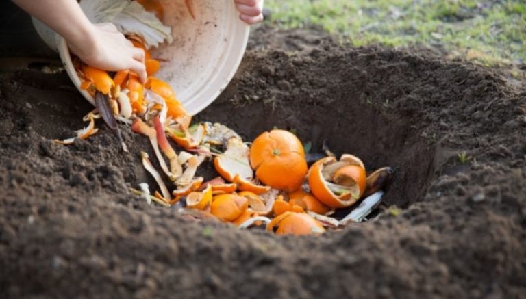How Long Does It Take To Make Compost?