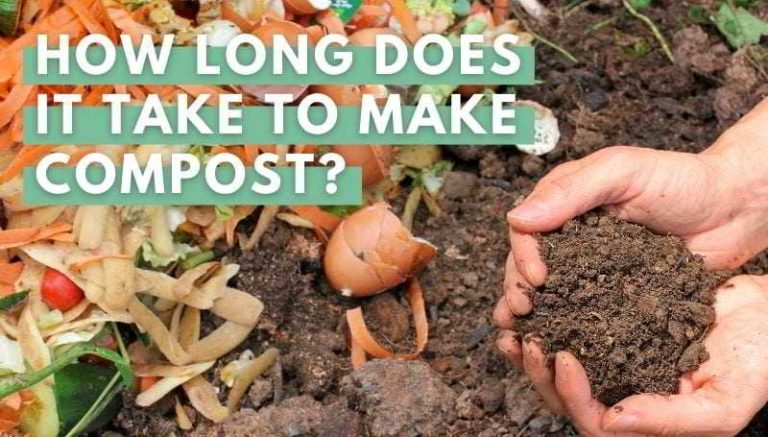 Gardening - Eco Peanut