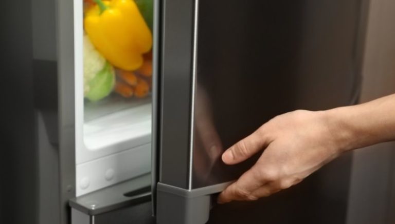 Most Energy-Efficient Refrigerator: 8 Best Energy-Efficient Refrigerators of 2022