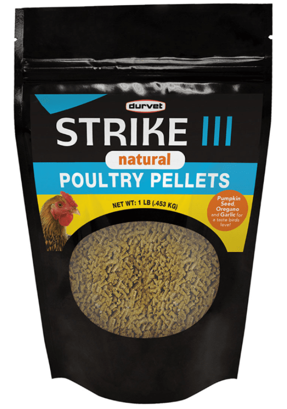 Chicken Wormers: Best Types & How to Use Them - Eco Peanut