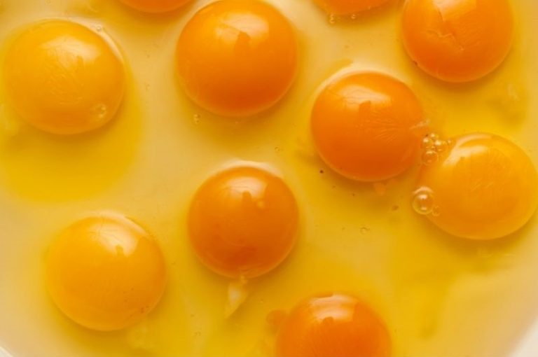 Egg Yolk Color Chart: What Do The Colors Mean? - Eco Peanut