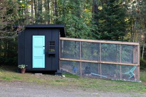 15 Easy to Build Chicken Run Ideas on a Budget - Eco Peanut