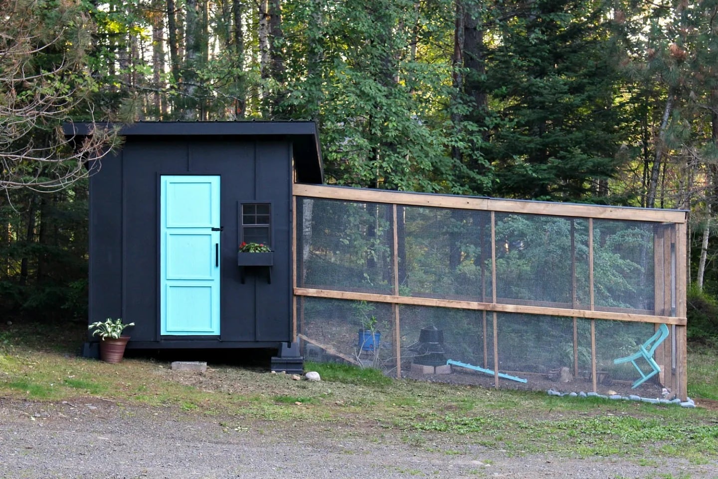 15 Easy to Build Chicken Run Ideas on a Budget - Eco Peanut